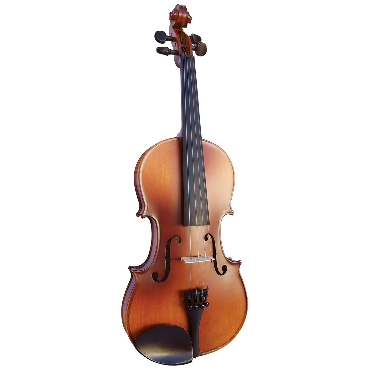 Vivo Neo Violin 1/4 - SETUP – Bandland Toowoomba